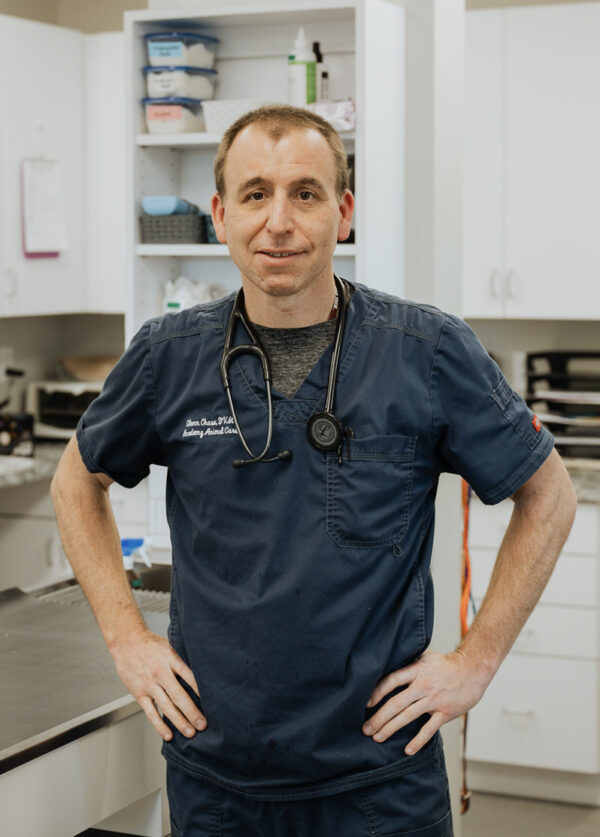 About - Academy Animal Care