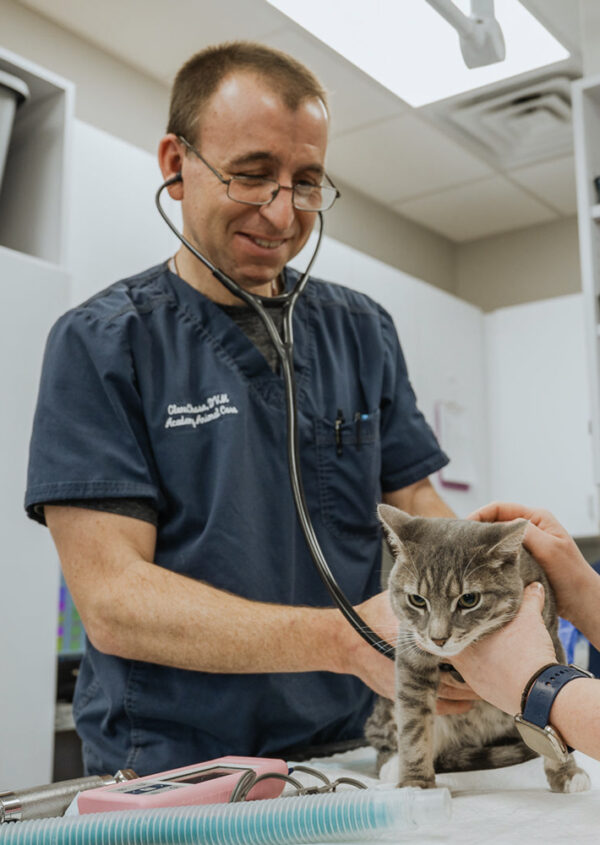 Locally-Owned and Operated Animal Hospital in Suffolk, VA