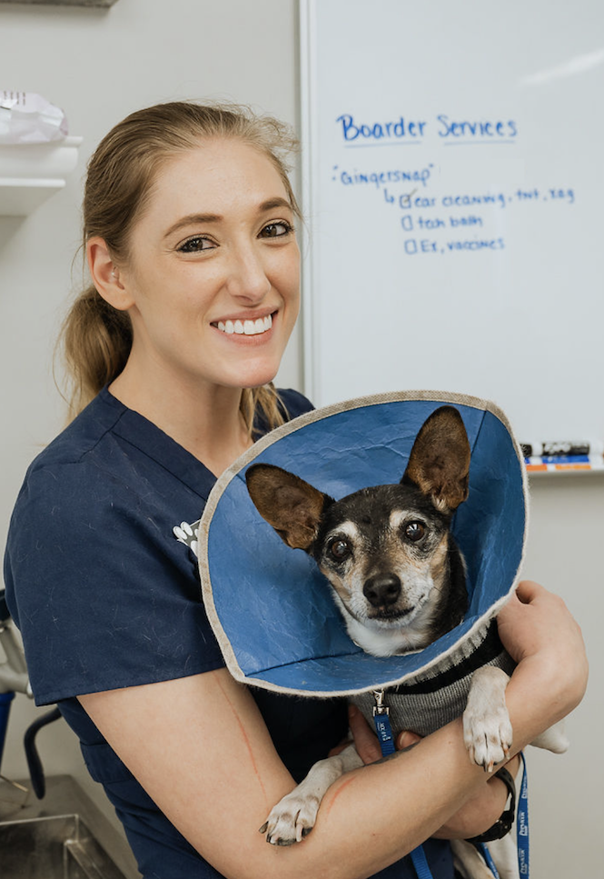 Our Support Staff - Academy Animal Care