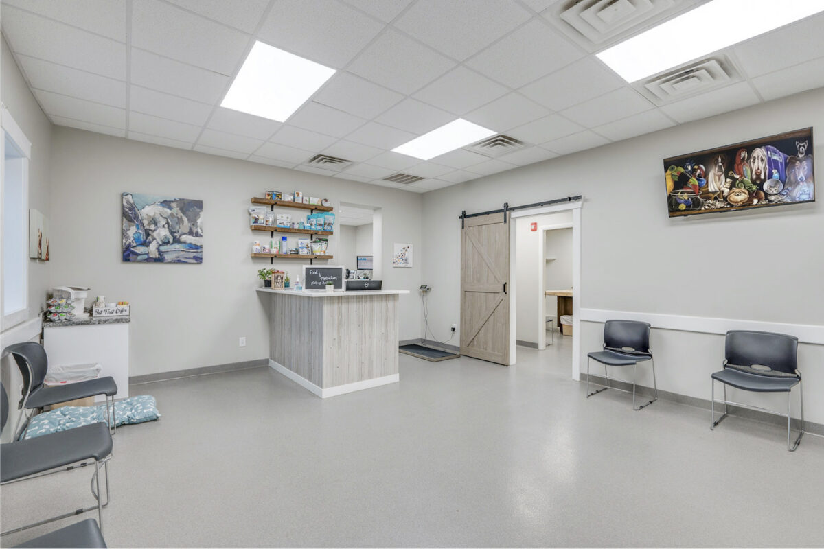 Clinic Tour - Academy Animal Care