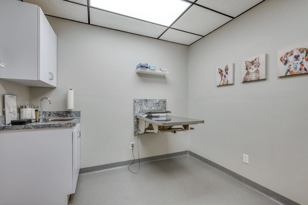 Clinic Tour - Academy Animal Care