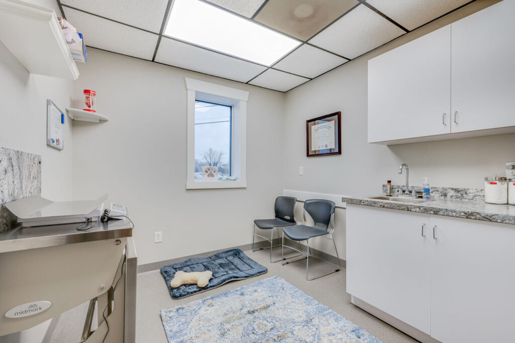 Clinic Tour - Academy Animal Care