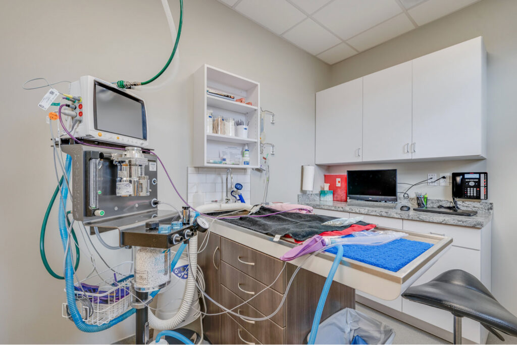 Clinic Tour - Academy Animal Care