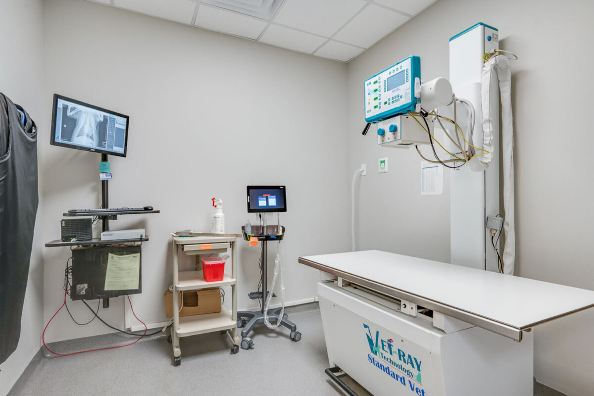 Clinic Tour - Academy Animal Care