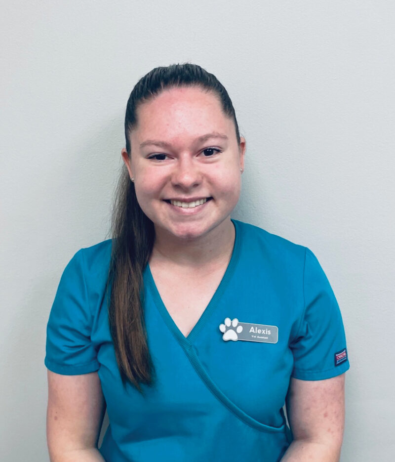 About - Academy Animal Care