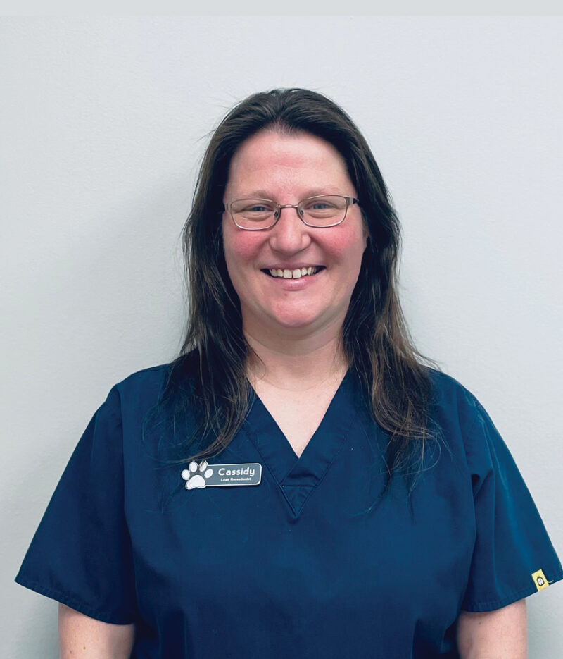 About - Academy Animal Care