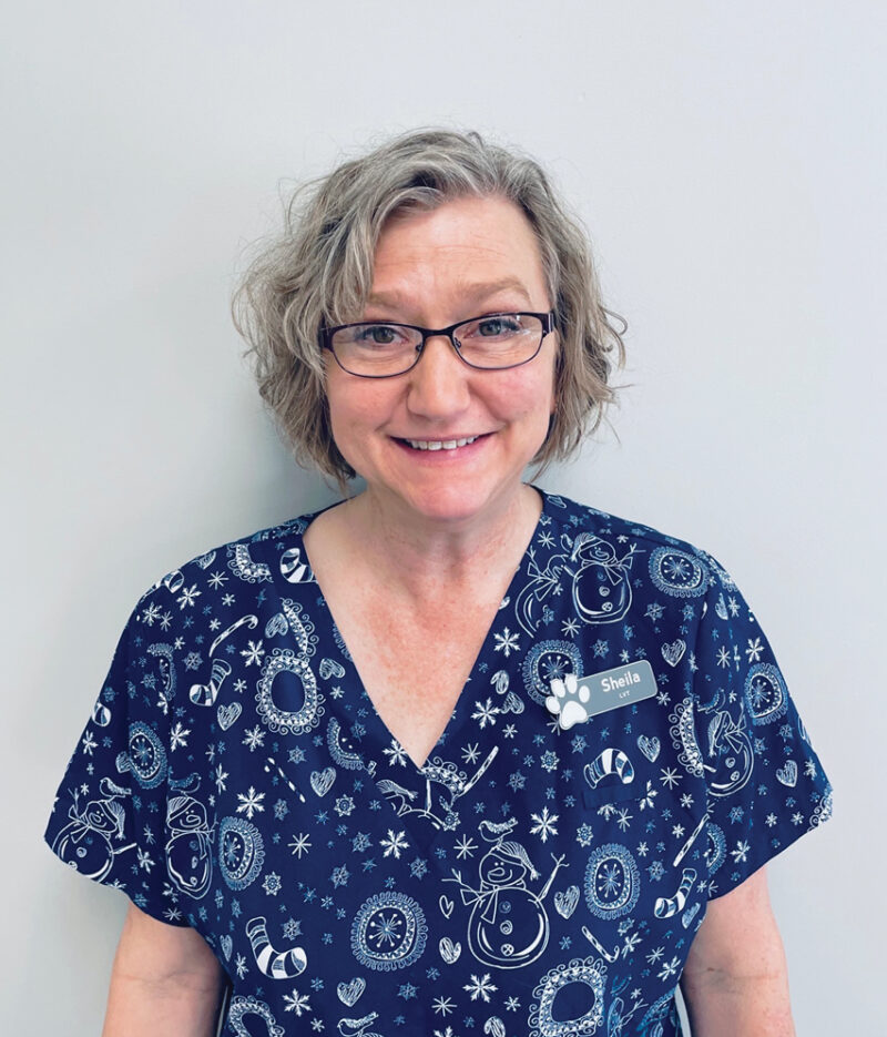 About - Academy Animal Care